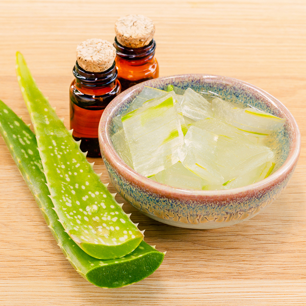 7 Amazing Uses for Aloe Vera - Dr aloe