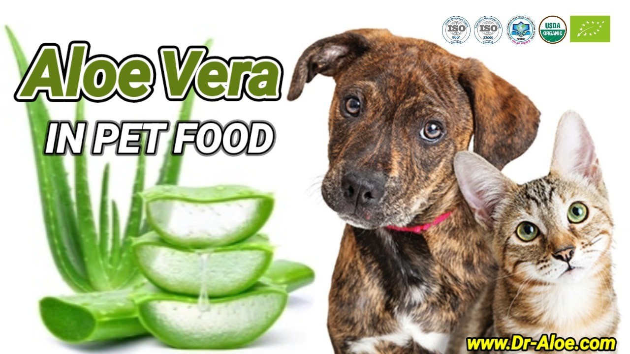 Aloe Vera in Pet Food - Dr aloe